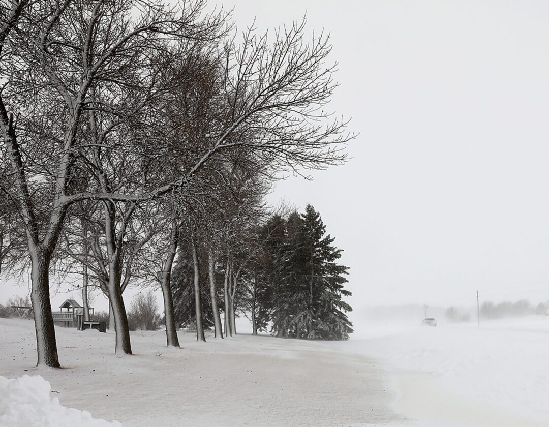 Blizzard conditions hit the county | News, Sports, Jobs - Faribault ...
